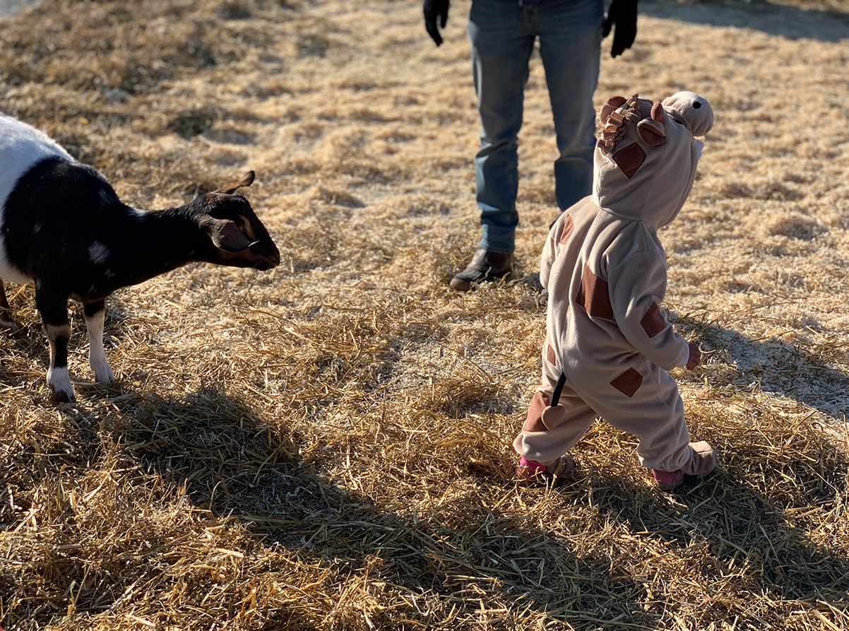 Celebrate National Construction Day, Nov. 3 - Construction Association ...